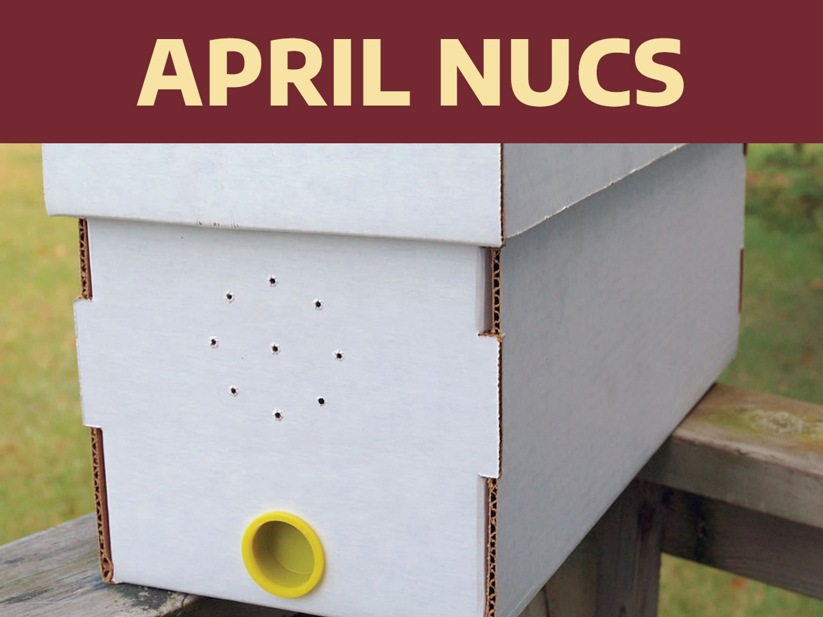 April Nucs - Noah's Bees